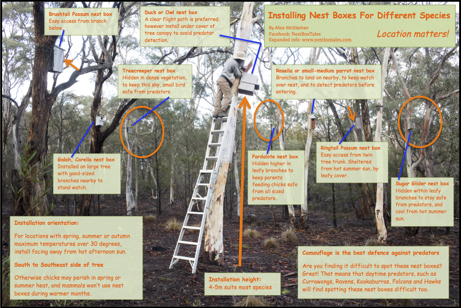 Downloads for Jenny – Nest Box Tales