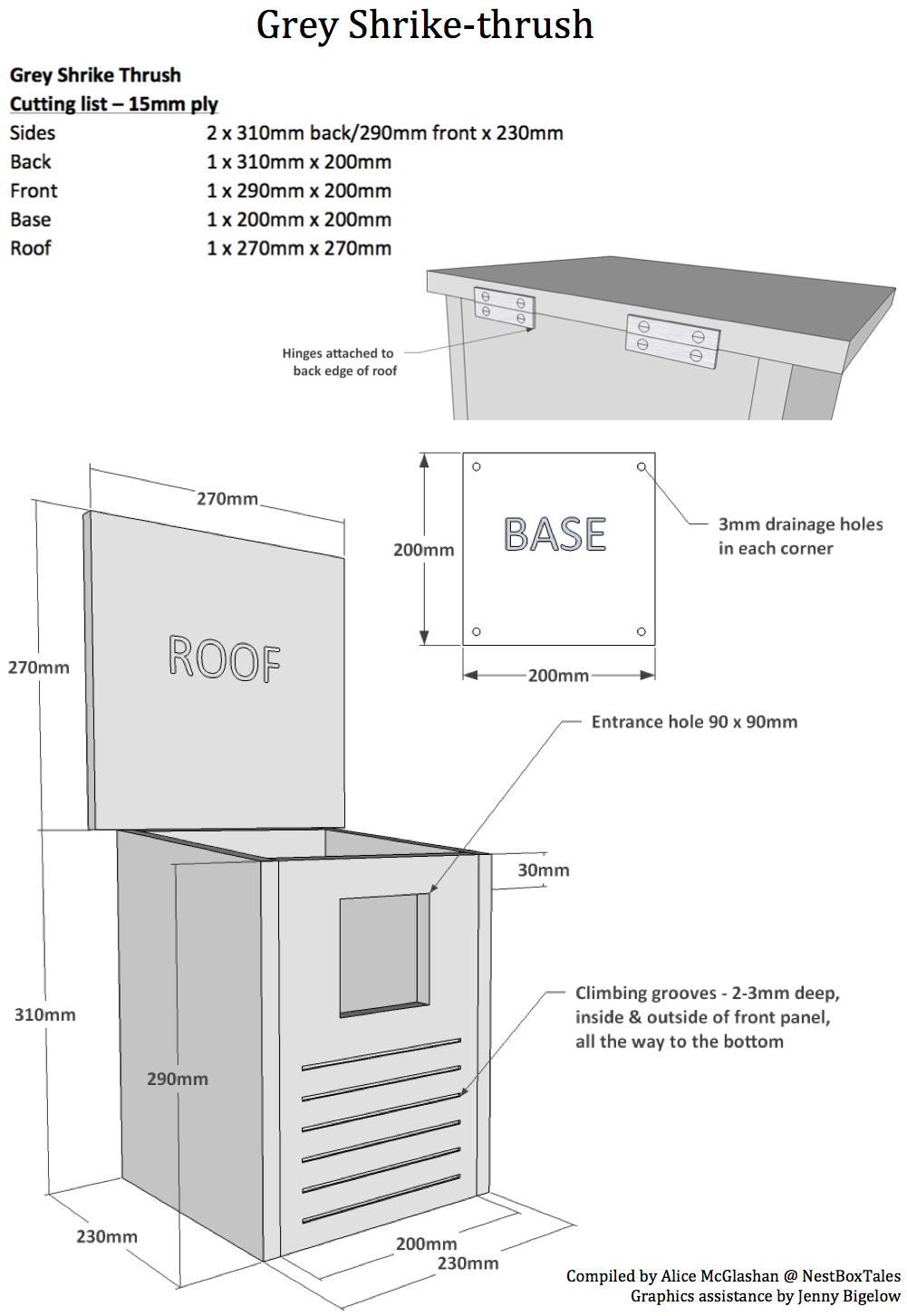Grey Shrike Thrush – Nest Box Tales