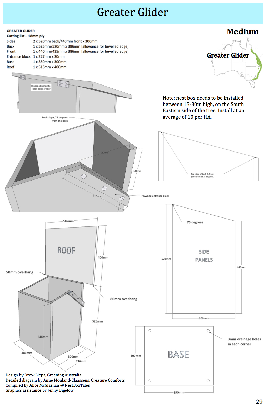 Greater Glider – Nest Box Tales